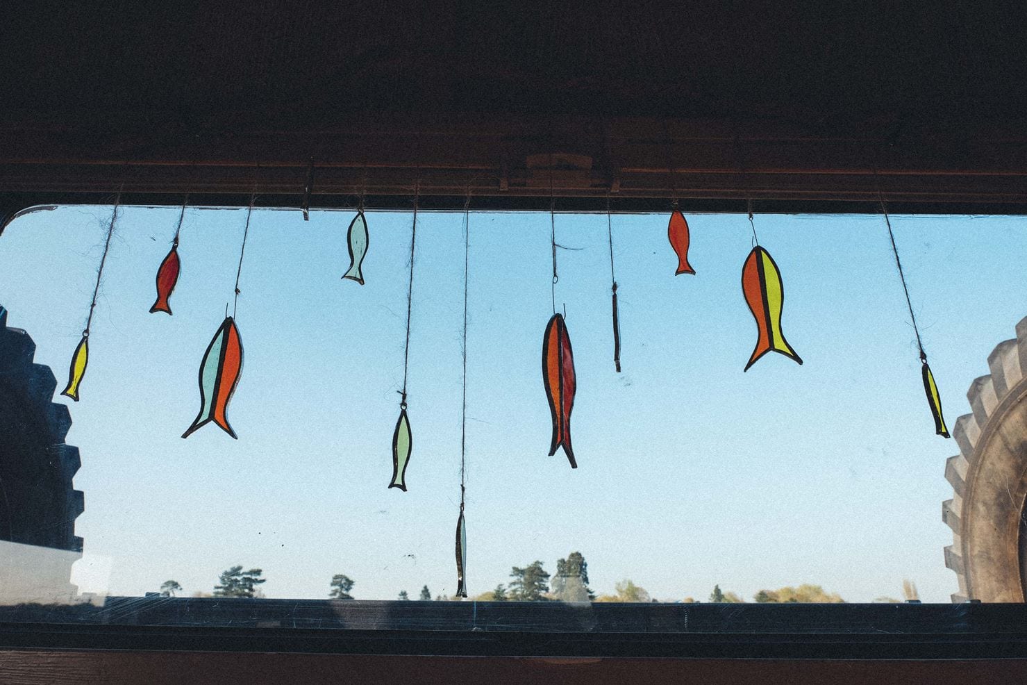 Unique van conversions: 7 vans that reflect their owners