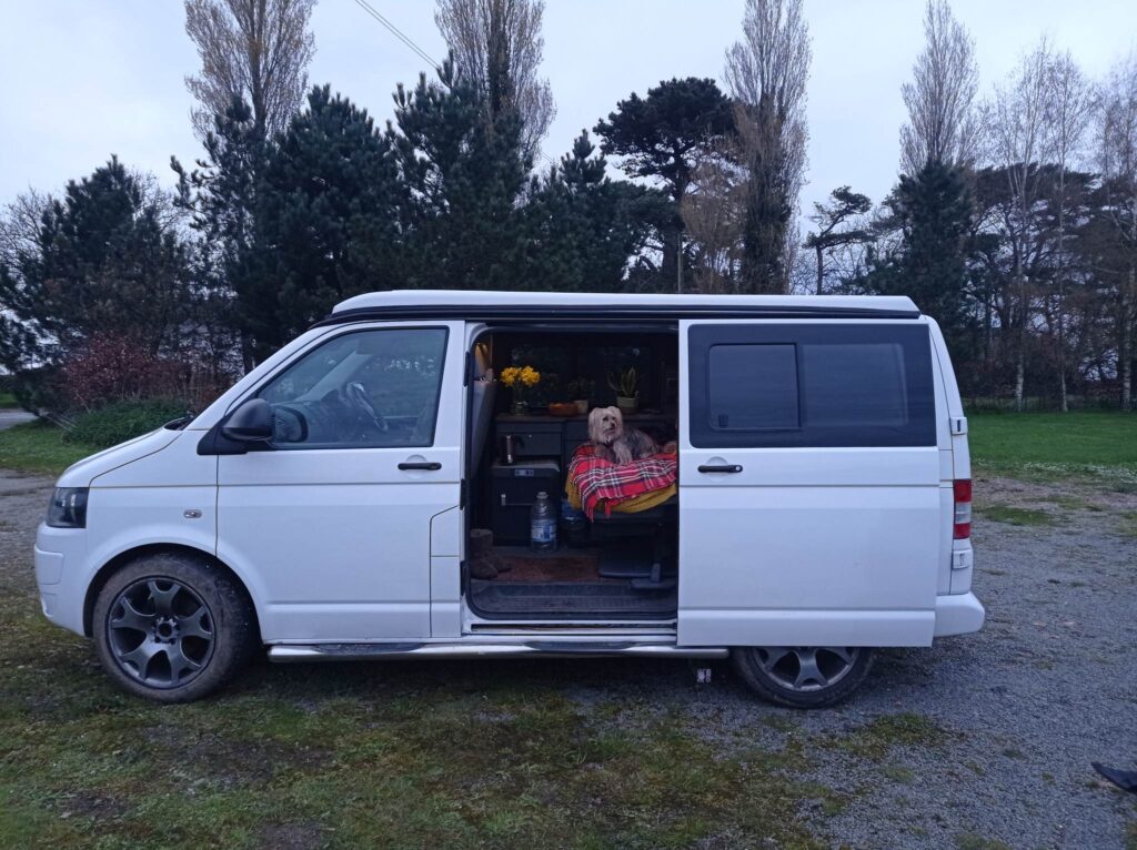 VW TR Sporter T28 TDI SWB with professional conversion by The Bristol ...