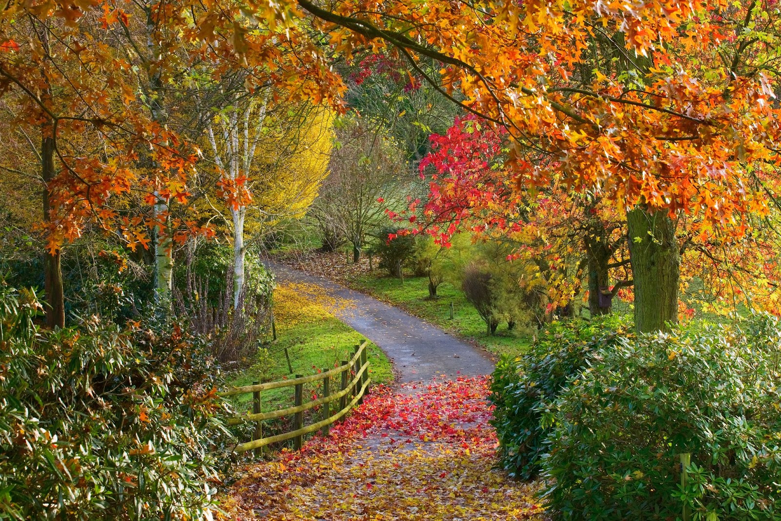 Seven Spectacular Spots For Autumn Walks In The UK Quirky Campers Seven Spectacular Spots For Autumn Walks In The UK Quirky Campers